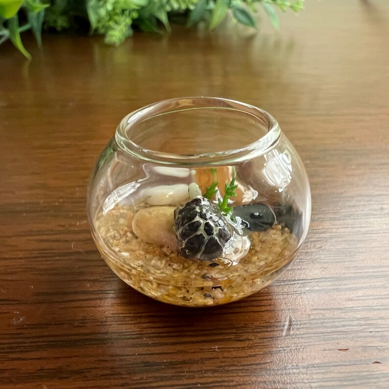 Miniature Turtle Bowl Miniature Fish Bowl - Etsy