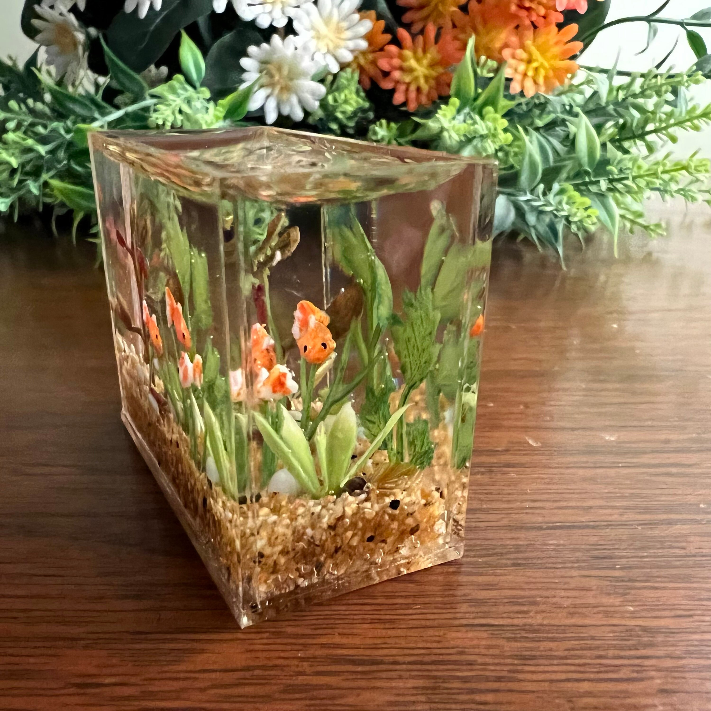 Miniature Goldfish Aquarium Smaller Size Natural Brown - Etsy