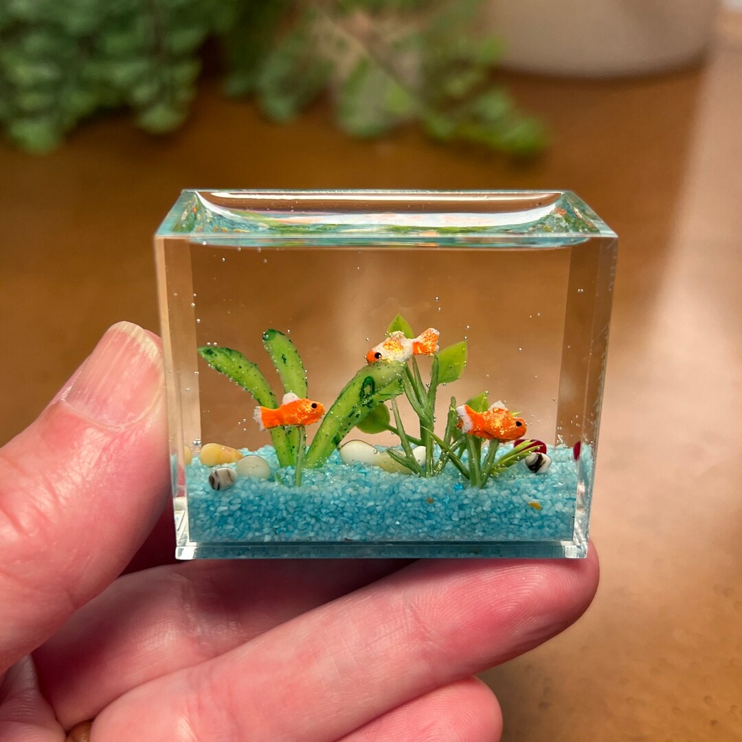 Miniature Goldfish Aquarium, Smaller Size, Aqua Gravel, Multi-scale ...