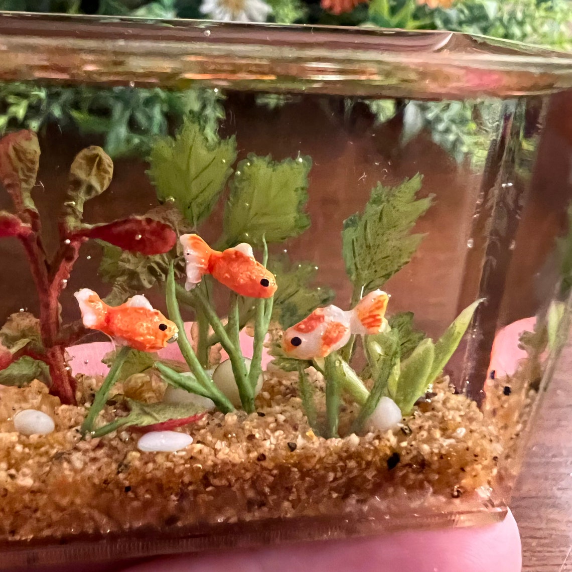 Miniature Goldfish Aquarium Smaller Size Natural Brown - Etsy