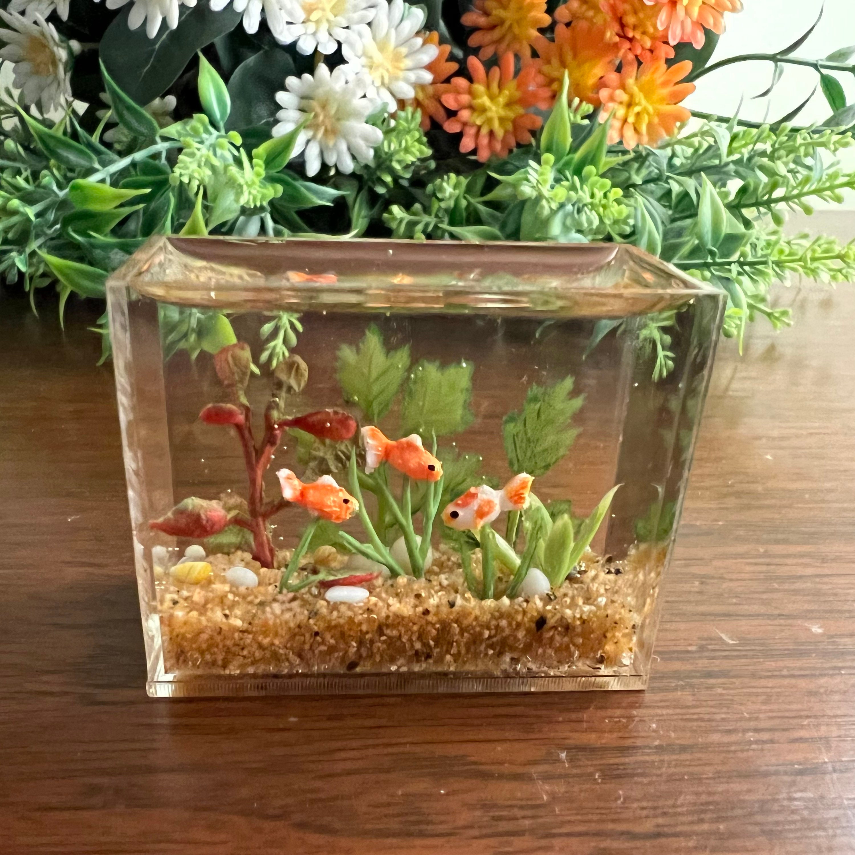 Miniature Goldfish Aquarium Smaller Size Natural Brown - Etsy