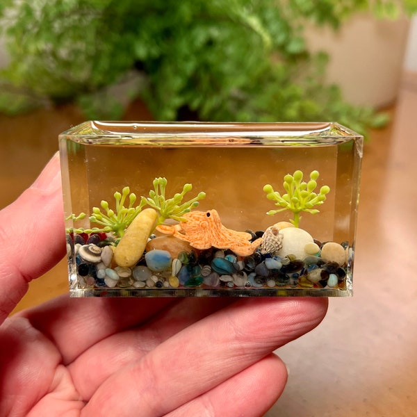 Miniature Aquarium - Etsy