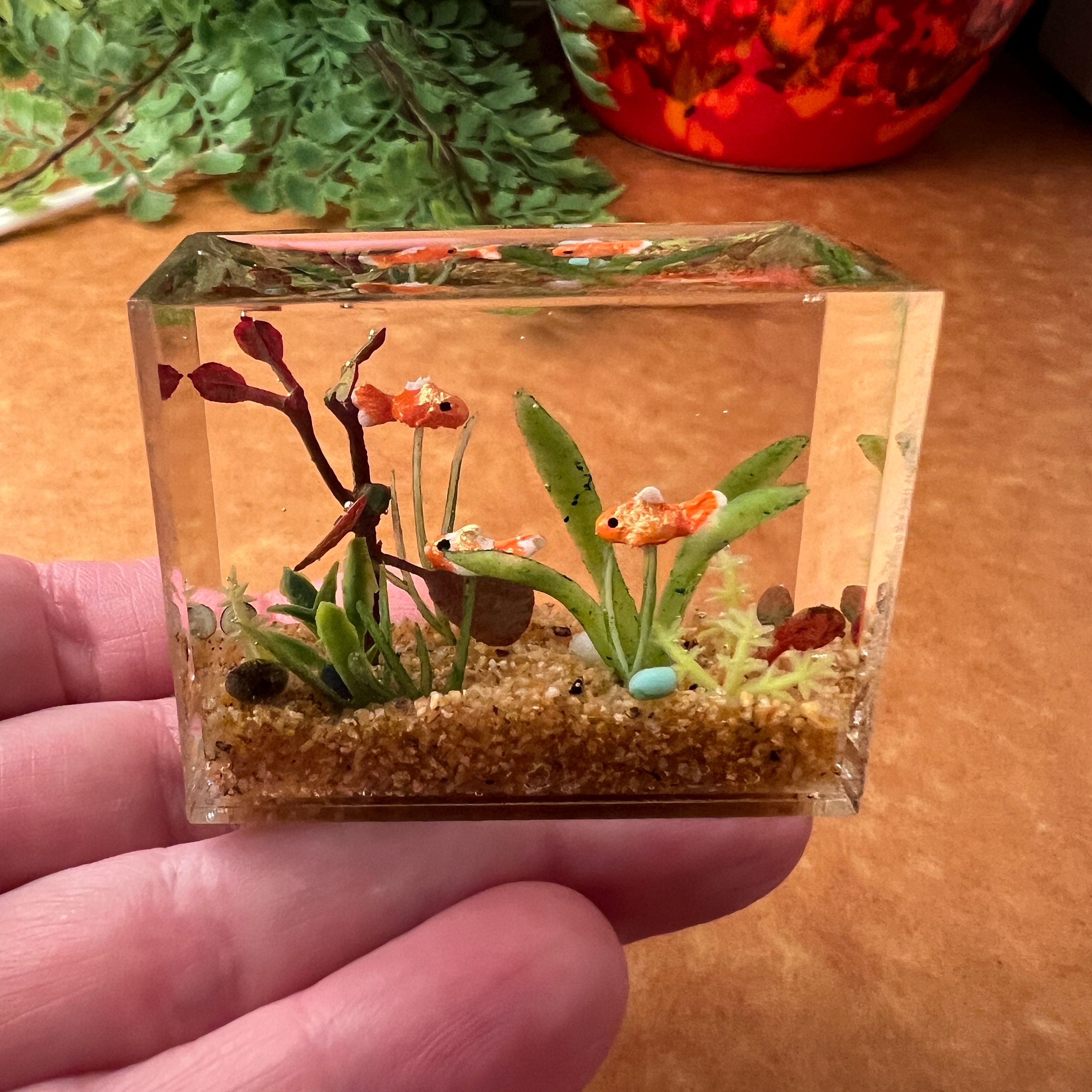 Worlds Smallest Aquarium With Fish