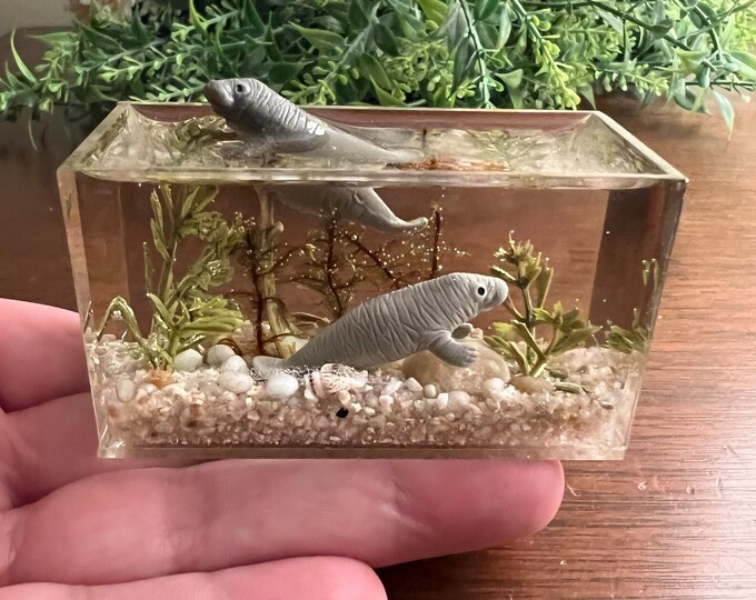 Miniature Manatee Aquarium - Etsy