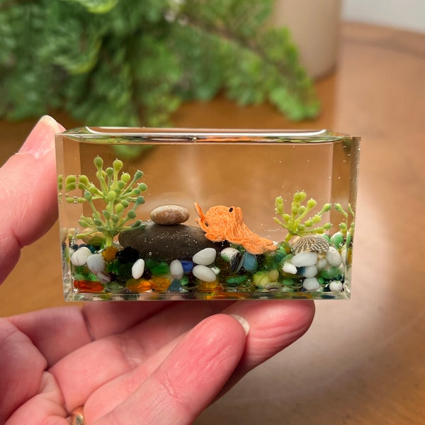 Miniature Aquarium - Etsy