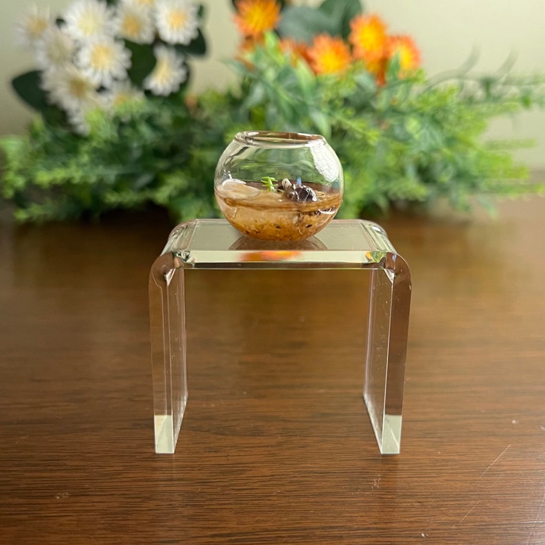 Miniature Turtle Bowl Miniature Fish Bowl - Etsy