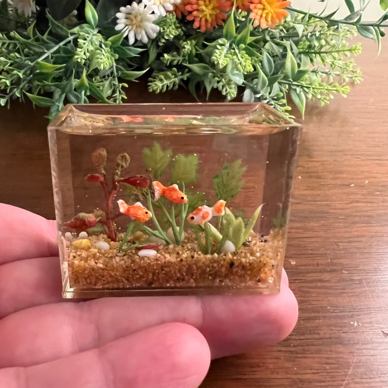 Miniature Goldfish Aquarium Smaller Size Natural Brown - Etsy