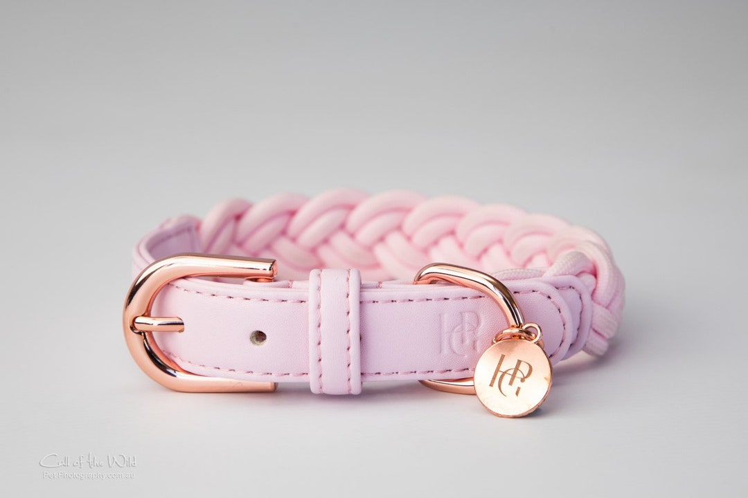 Dog Collar PINK Plaited - Etsy