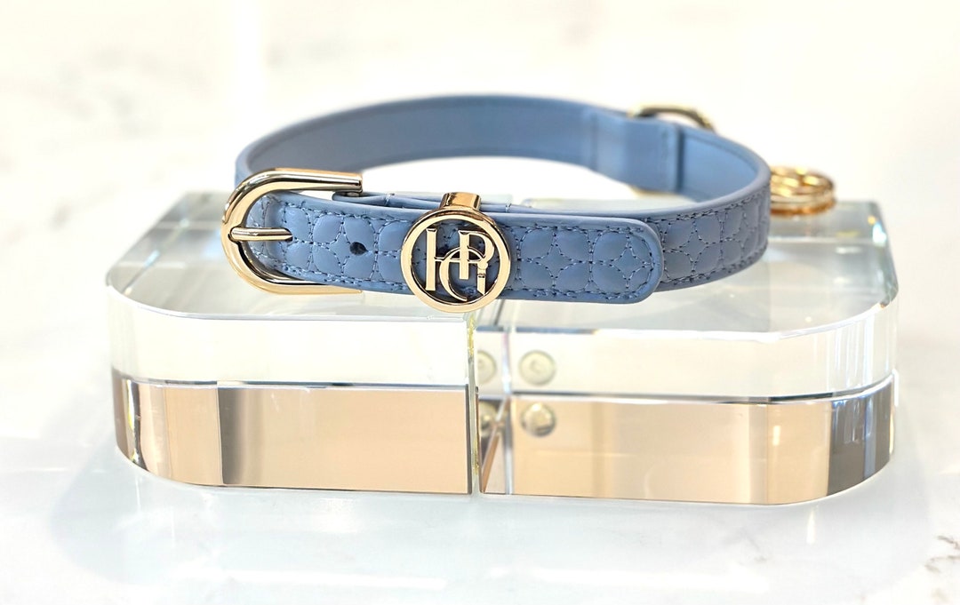 Mist Blue Vegan Leather Dog Collar, Elegant Puppy Collar - Etsy