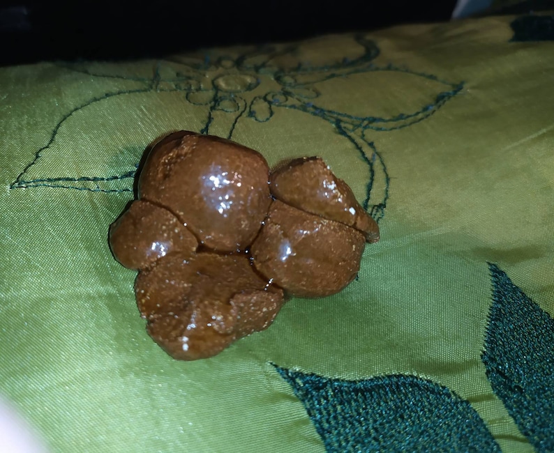 Poop Turd Figurine Dog Turd Sculpture Miniature Pottery - Etsy