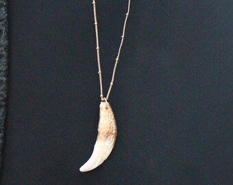 Dog tooth | Etsy