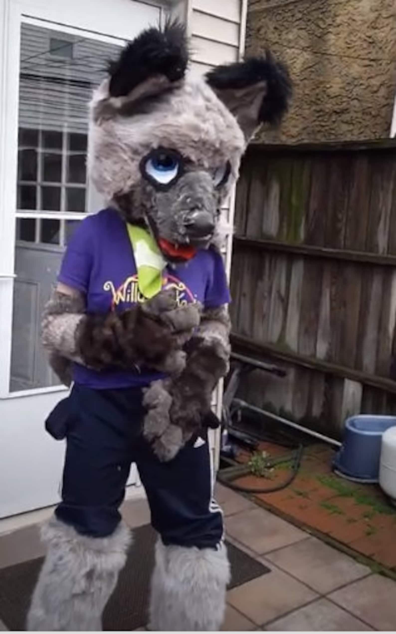 Custom Furry Fursuit Fursona Commissions - Etsy