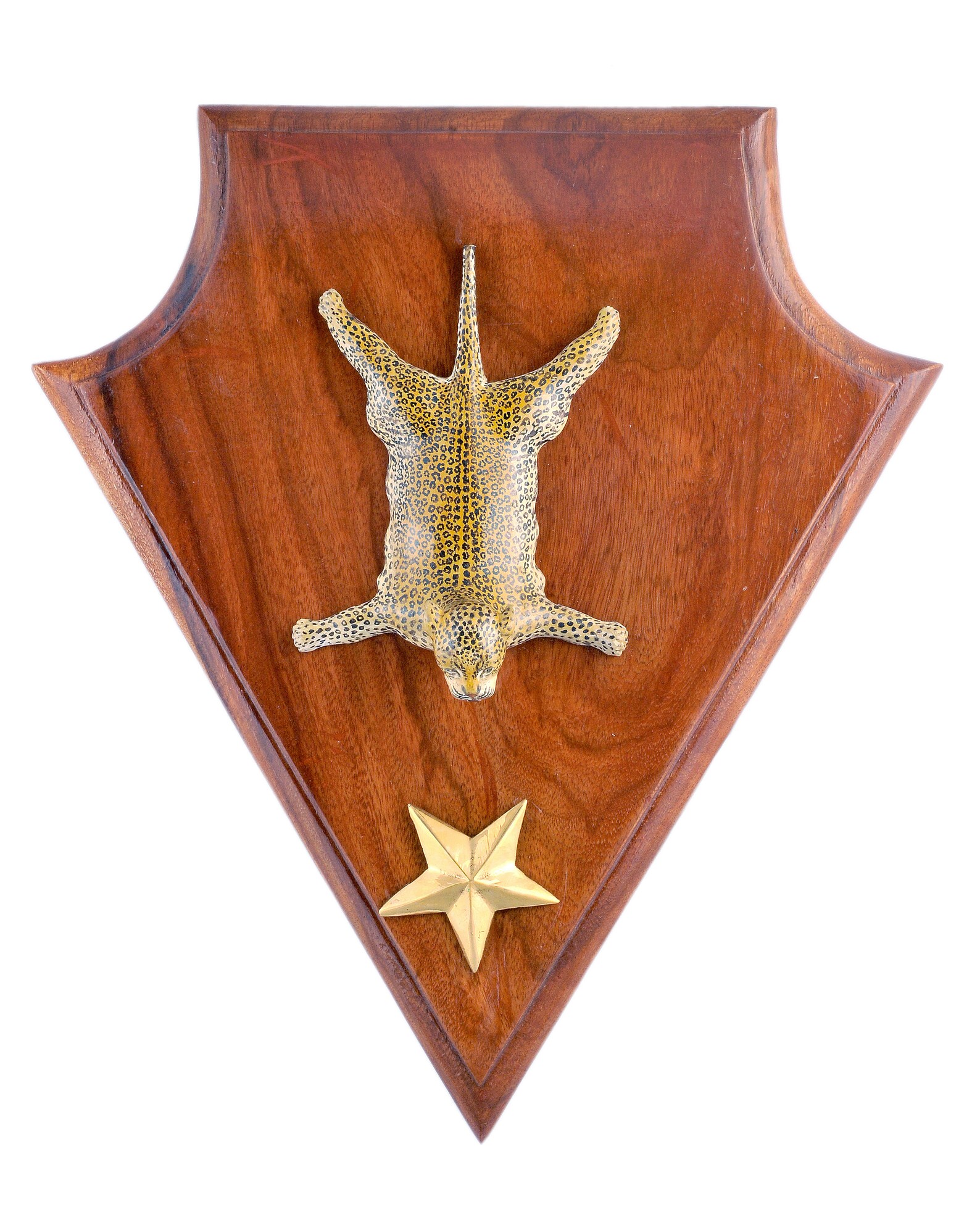 Leopard Trophy or Leopard Taxidermy for sale | Etsy