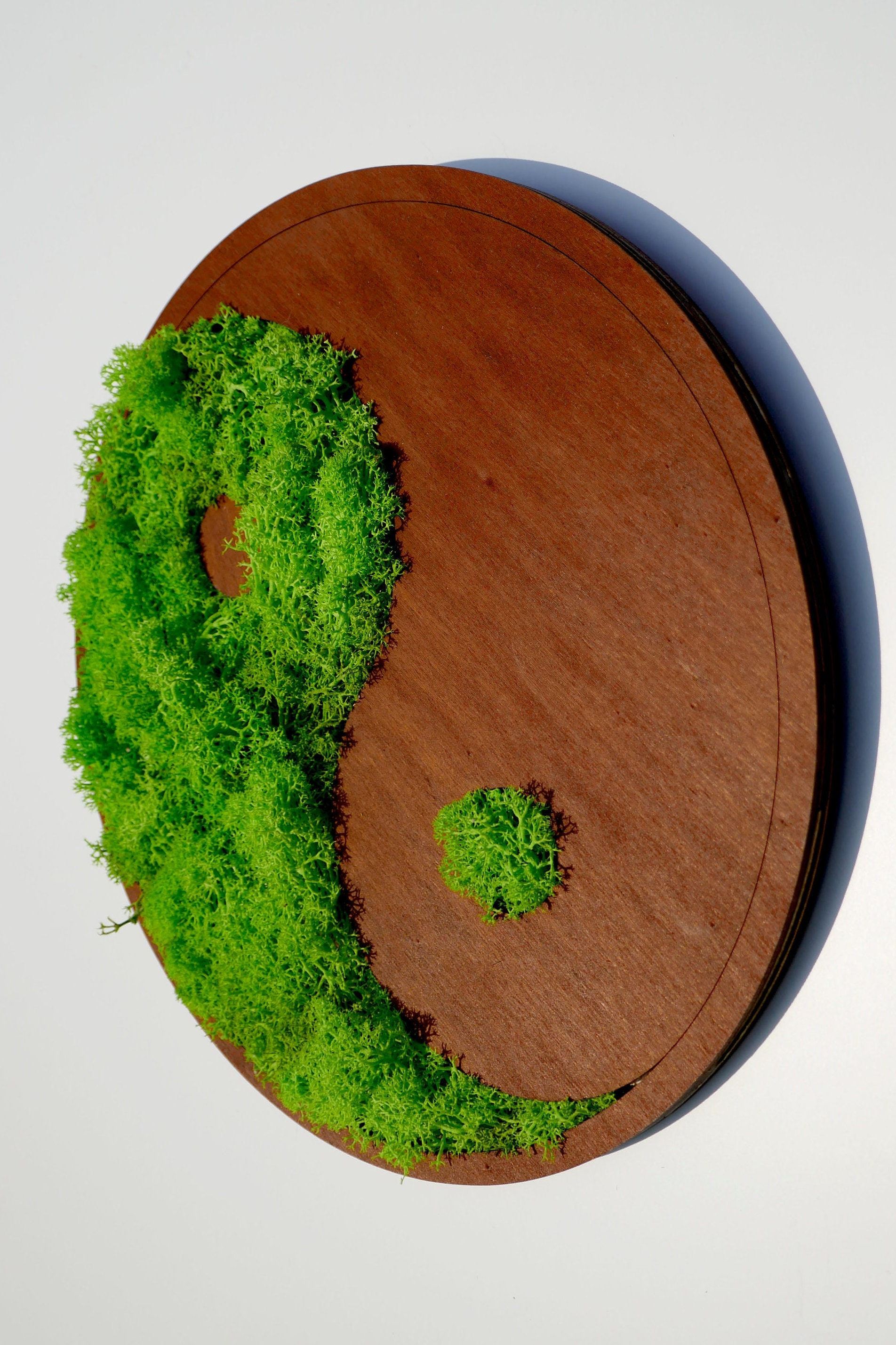 Yin and Yang Picture Made of Moss and Wood Moss Picture in Different ...