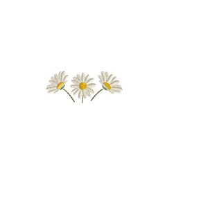 4 Daisy Machine Embroidery Designs, Daisy Embroidery Files, Floral ...