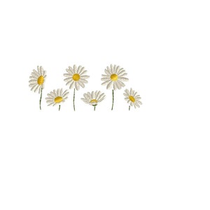 4 Daisy Machine Embroidery Designs, Daisy Embroidery Files, Floral ...