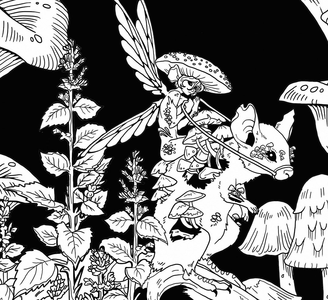Dark Fey Colouring Page - Etsy