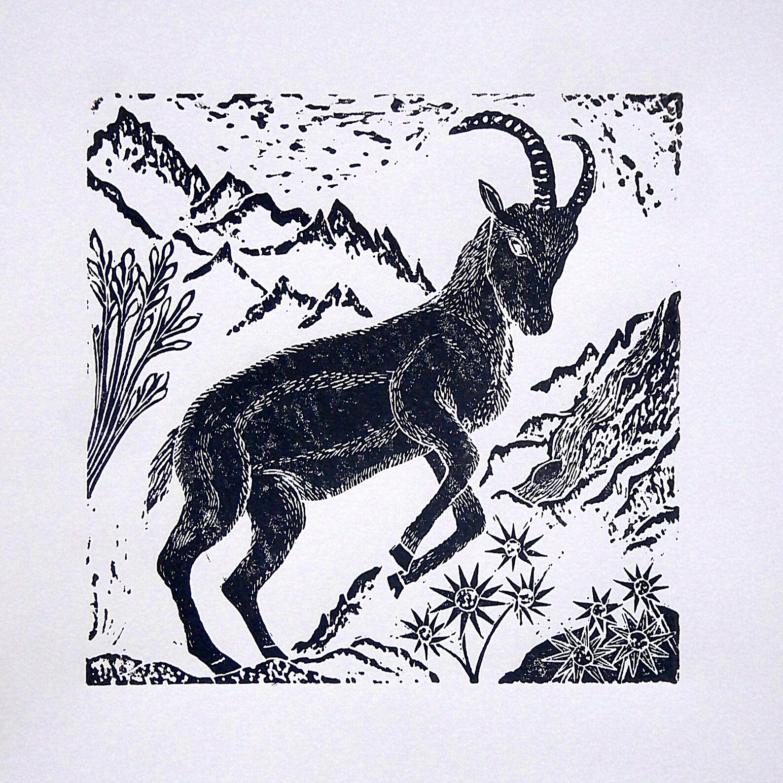 Mountain Goat stampa originale a stampa linocut wildlife | Etsy