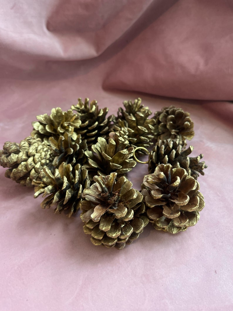 Unique Set of 12 Natural ,gold Pine Cones, Christmas Tree Decoration ...