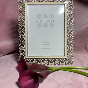 Beautiful Cream Metal Azure With Pearls Photo Frame. - Etsy UK