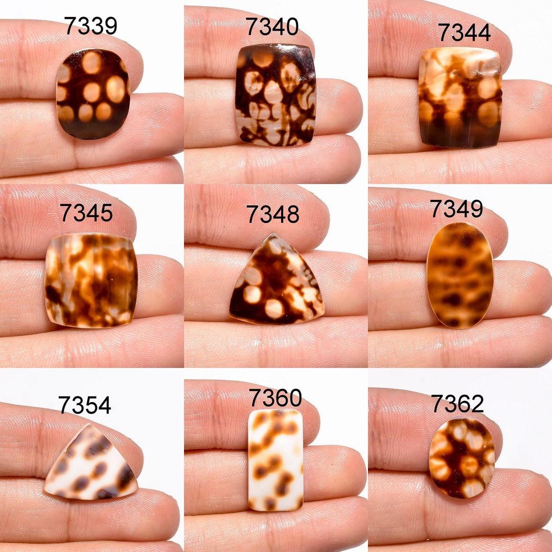 Shell Spotted Gemstone, Natural Shell Spotted Cabochon, AAA Quality ...