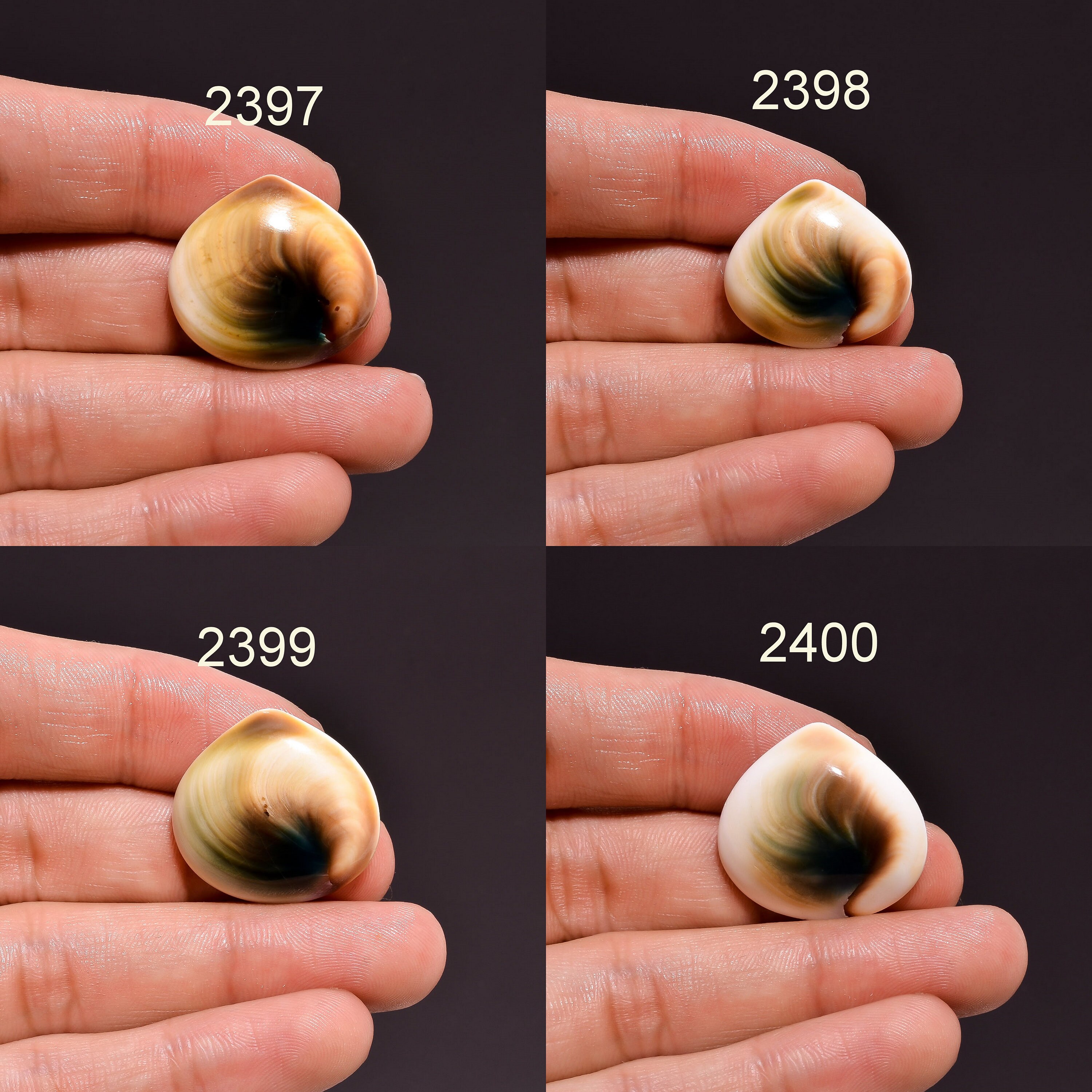 Jewelry & Beauty Shiva Eye Shell Gemstone Heart Shape Loose Shiva Eye ...