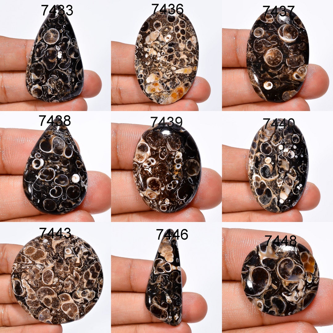 Turritella Agate Gemstone, Mix Shape Natural Designer Turritella ...