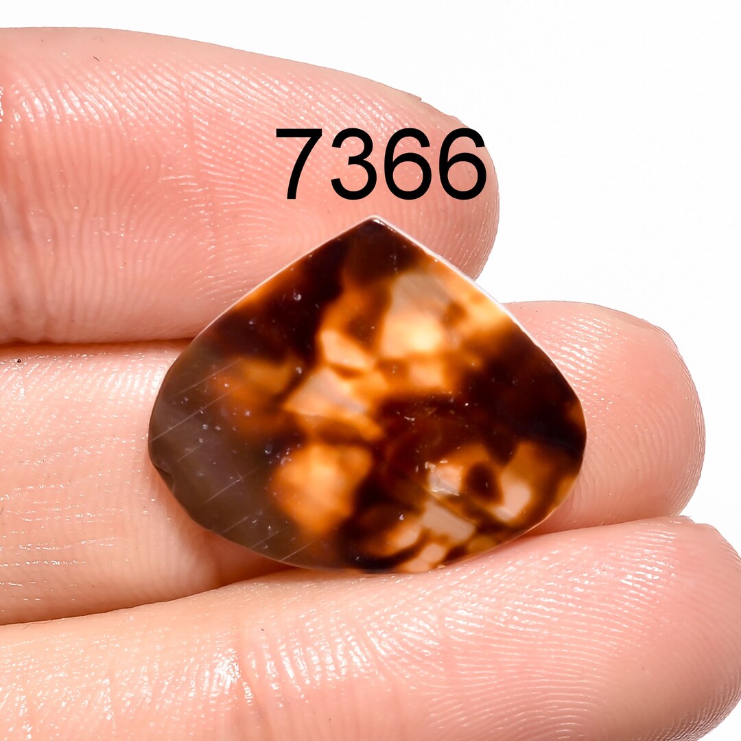 Shell Spotted Gemstone, Natural Shell Spotted Cabochon, AAA+ Quality ...
