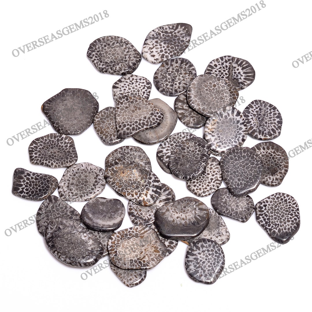 Natural Black Fossil Coral Slices Wholesale Gemstone, Bulk Designer ...