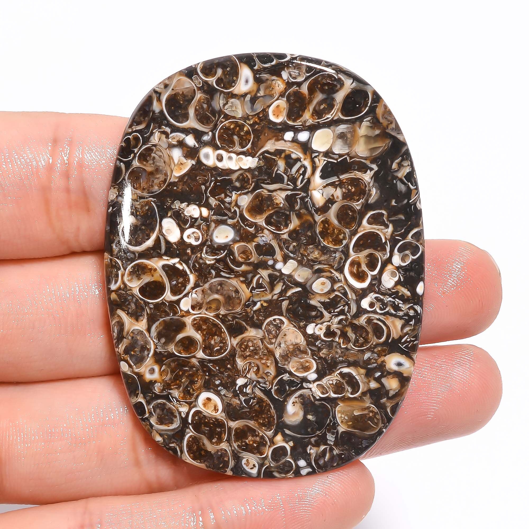 Turritella Agate Gemstone 104.5 Cts Oval Shape Agate | Etsy