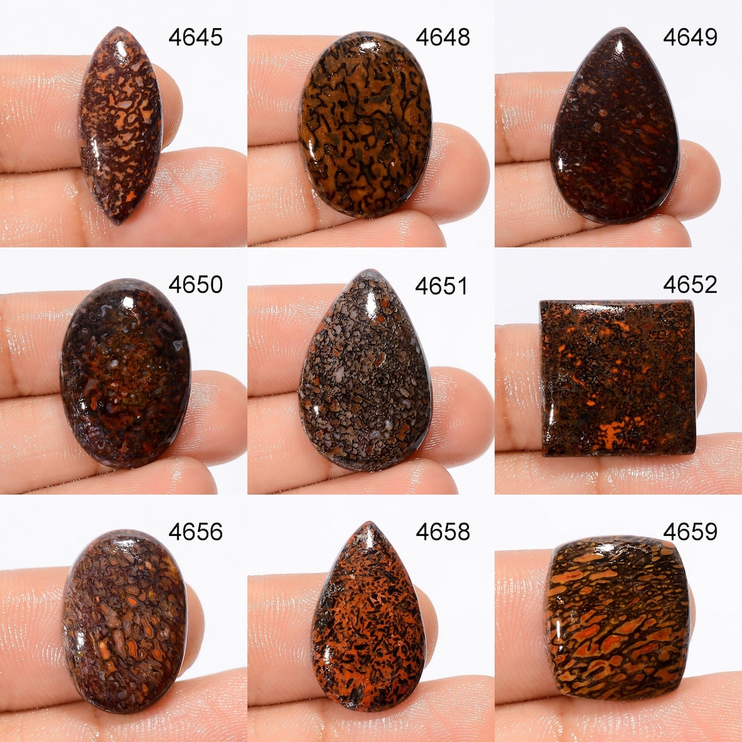 Dinosaur Bone Gemstone, Natural Dinosaur Bone Cabochon, AAA Quality ...