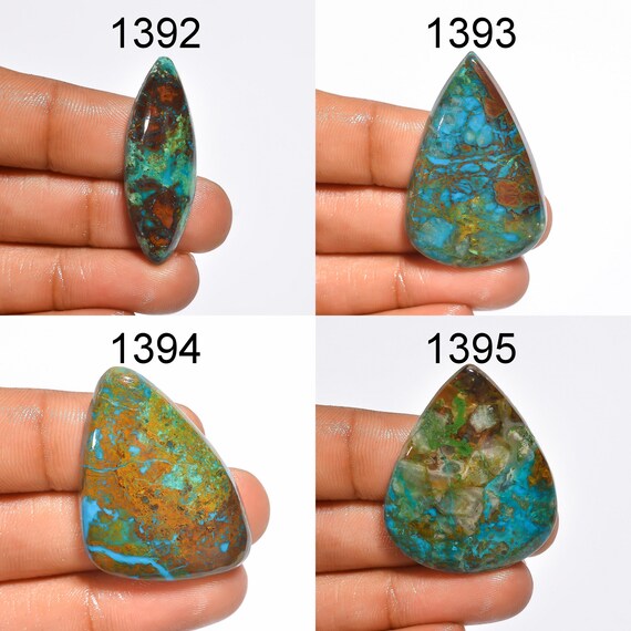 Parrot Wing Chrysocolla Gemstone Mix Shape Designer Parrot - Etsy