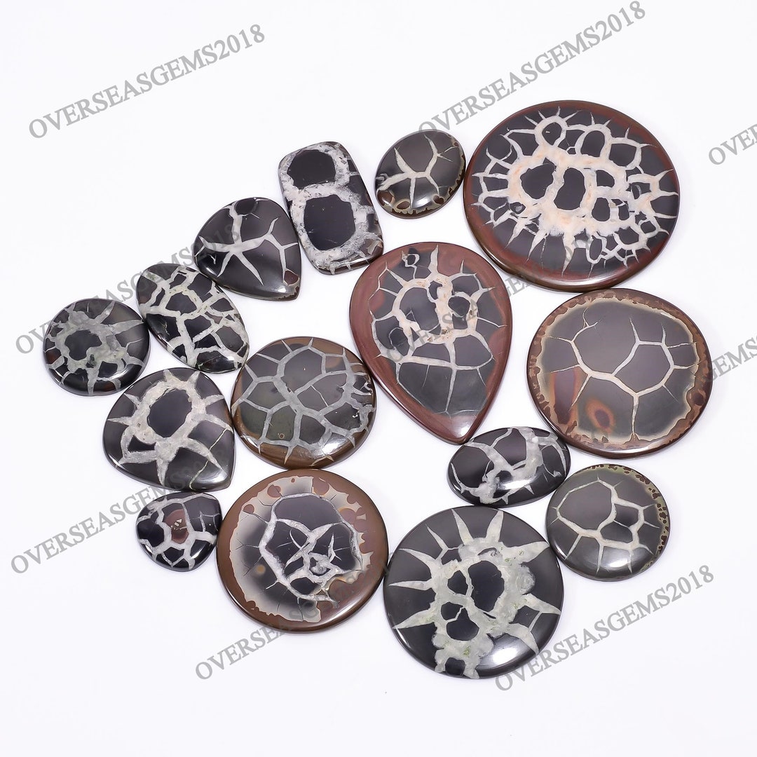Natural Mud Crack Fossil Gemstone, Mud Crack Fossil Cabochon Wholesale ...