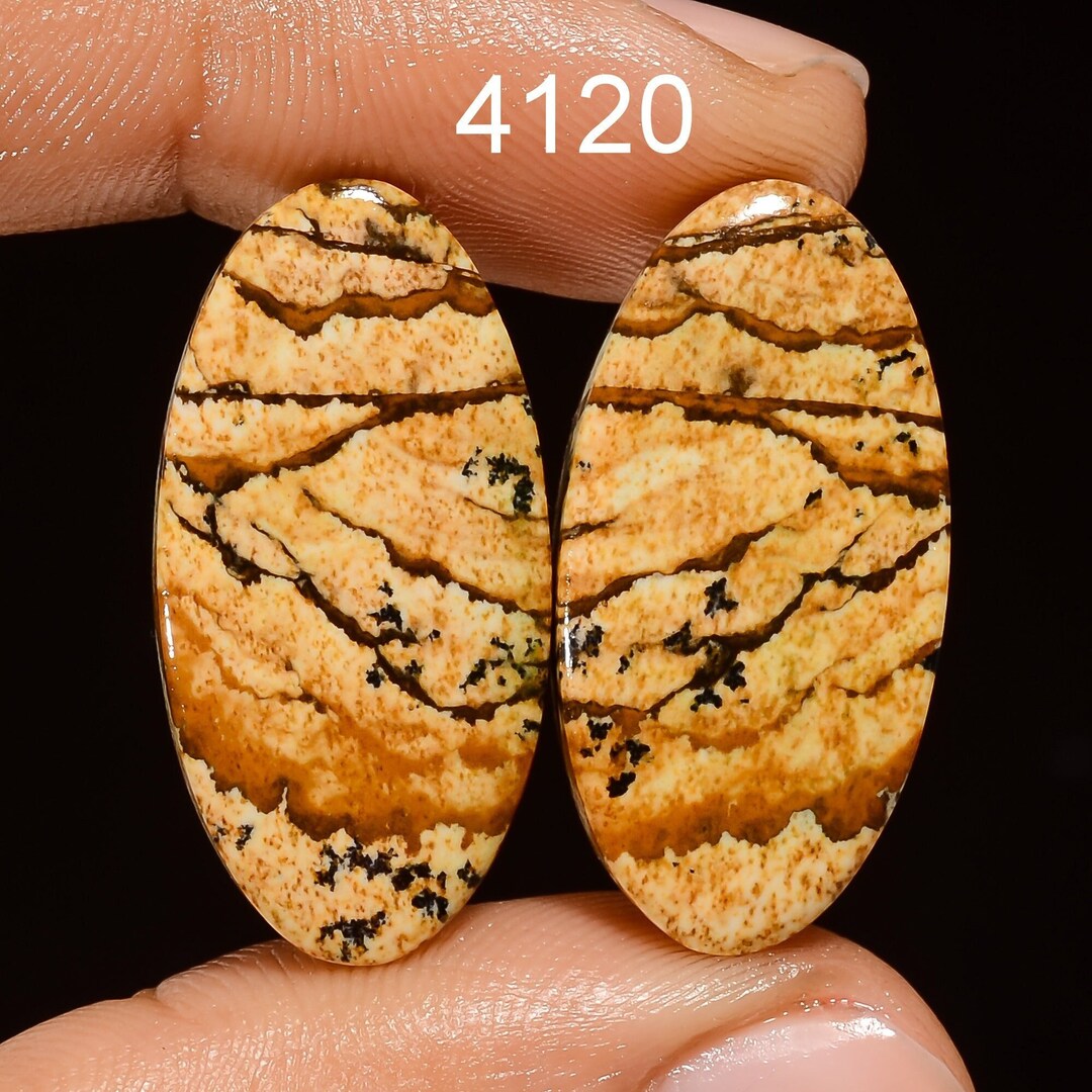Natural Picture Jasper Gemstone Pair, Designe Picture Jasper Pair ...