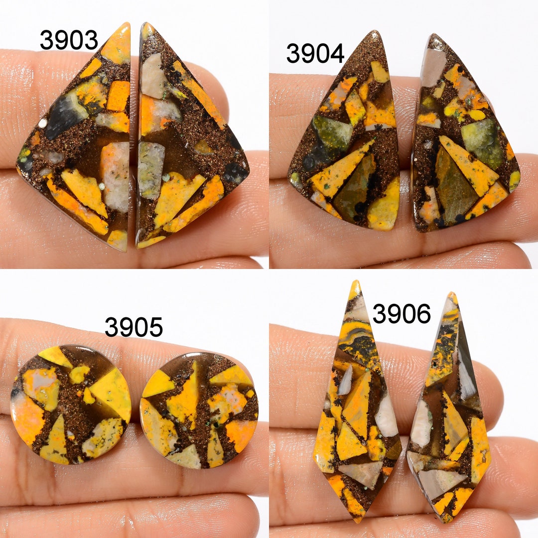 Oyster Copper Bumble Bee Spiny Oyster Copper Bumble Bee, Loose Oyster ...