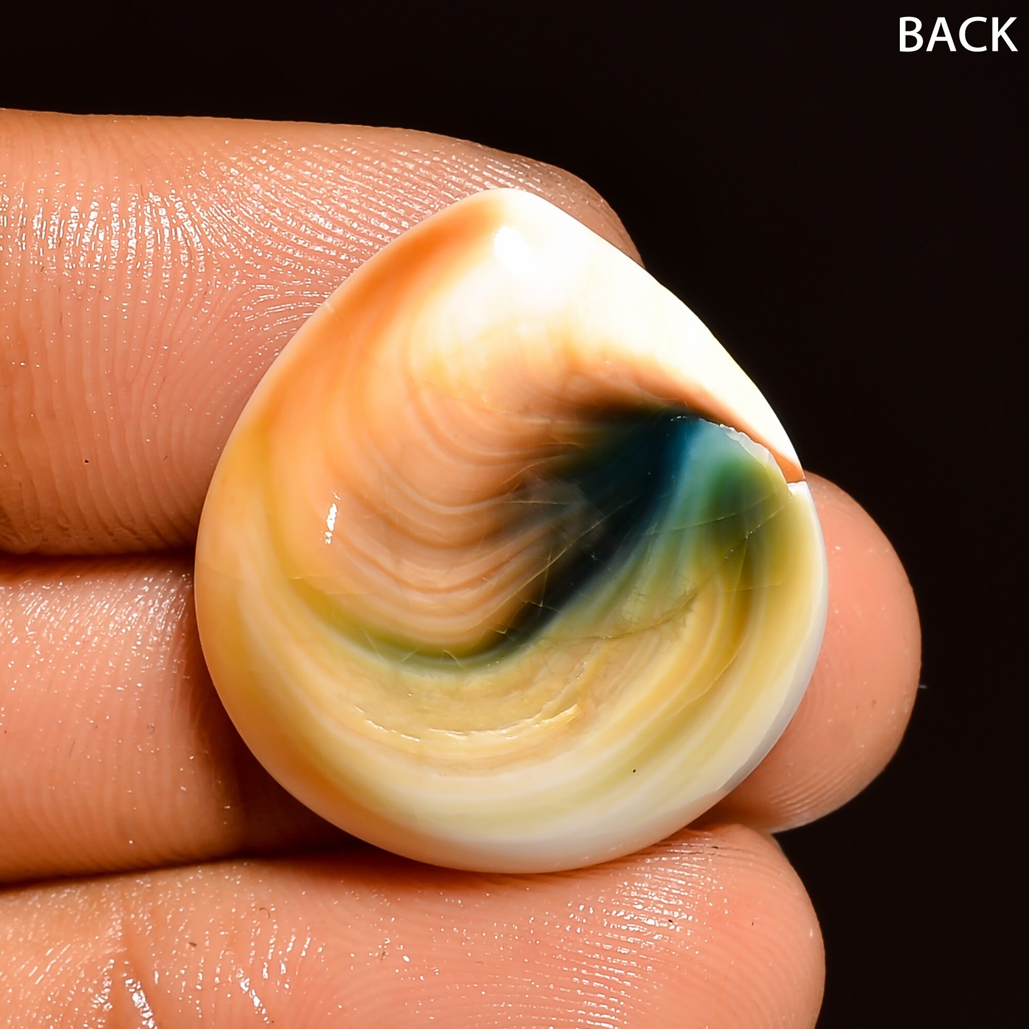 Jewelry & Beauty Shiva Eye Shell Gemstone Heart Shape Loose Shiva Eye ...