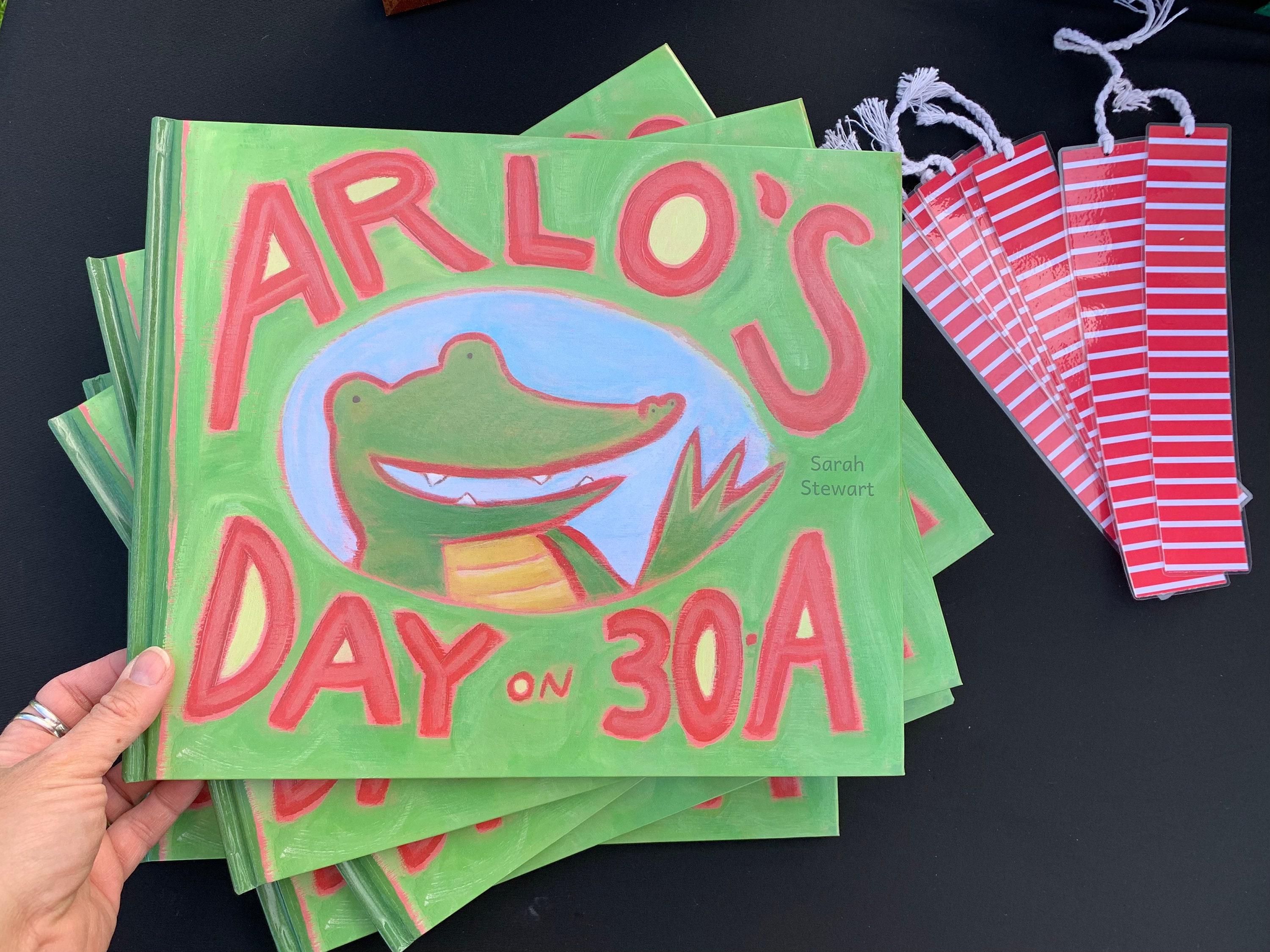 Arlo Book and Plush Set! Arlo's Day on 30A - Etsy