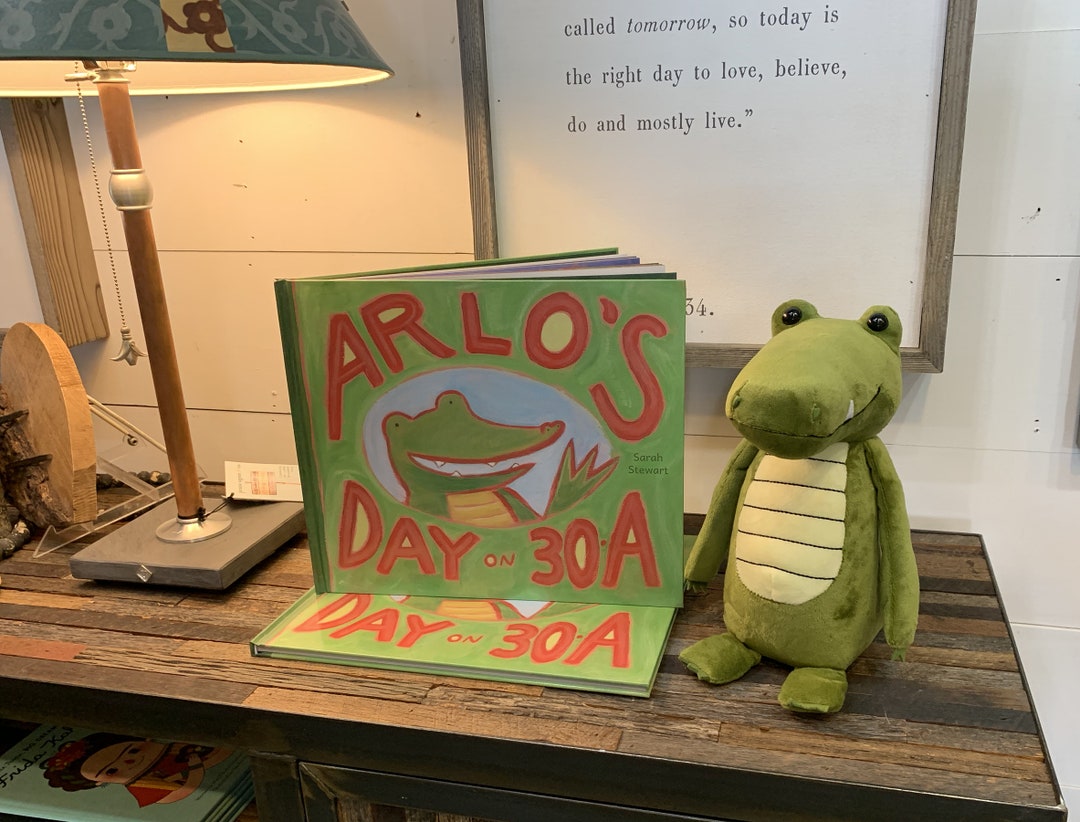 Arlo Book and Plush Set! Arlo's Day on 30A - Etsy