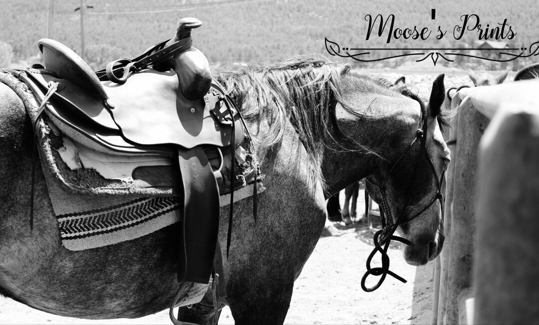 Saddle Up: Horse Print - Etsy