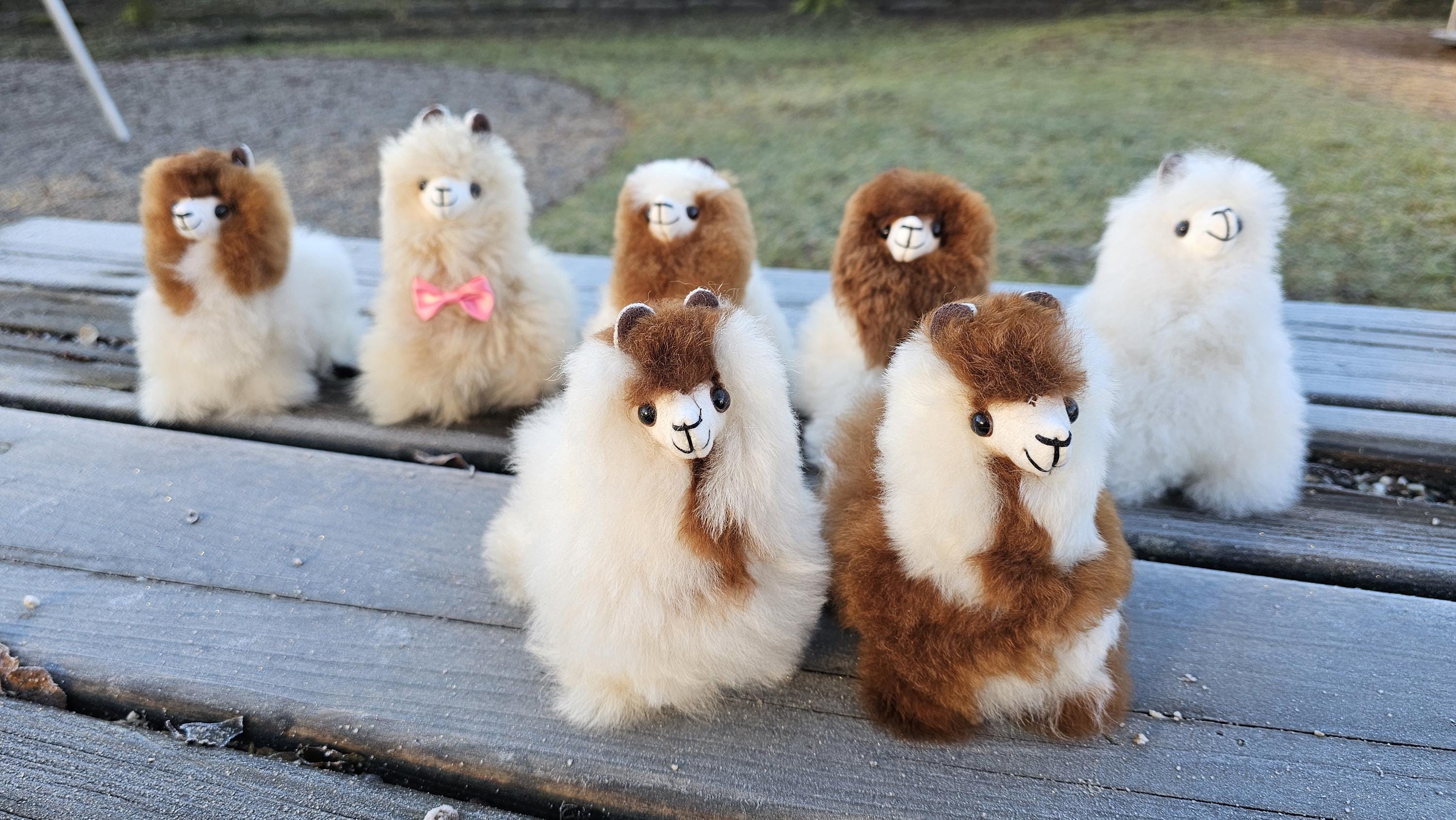 Alpaca Plush Toys 15cm-6