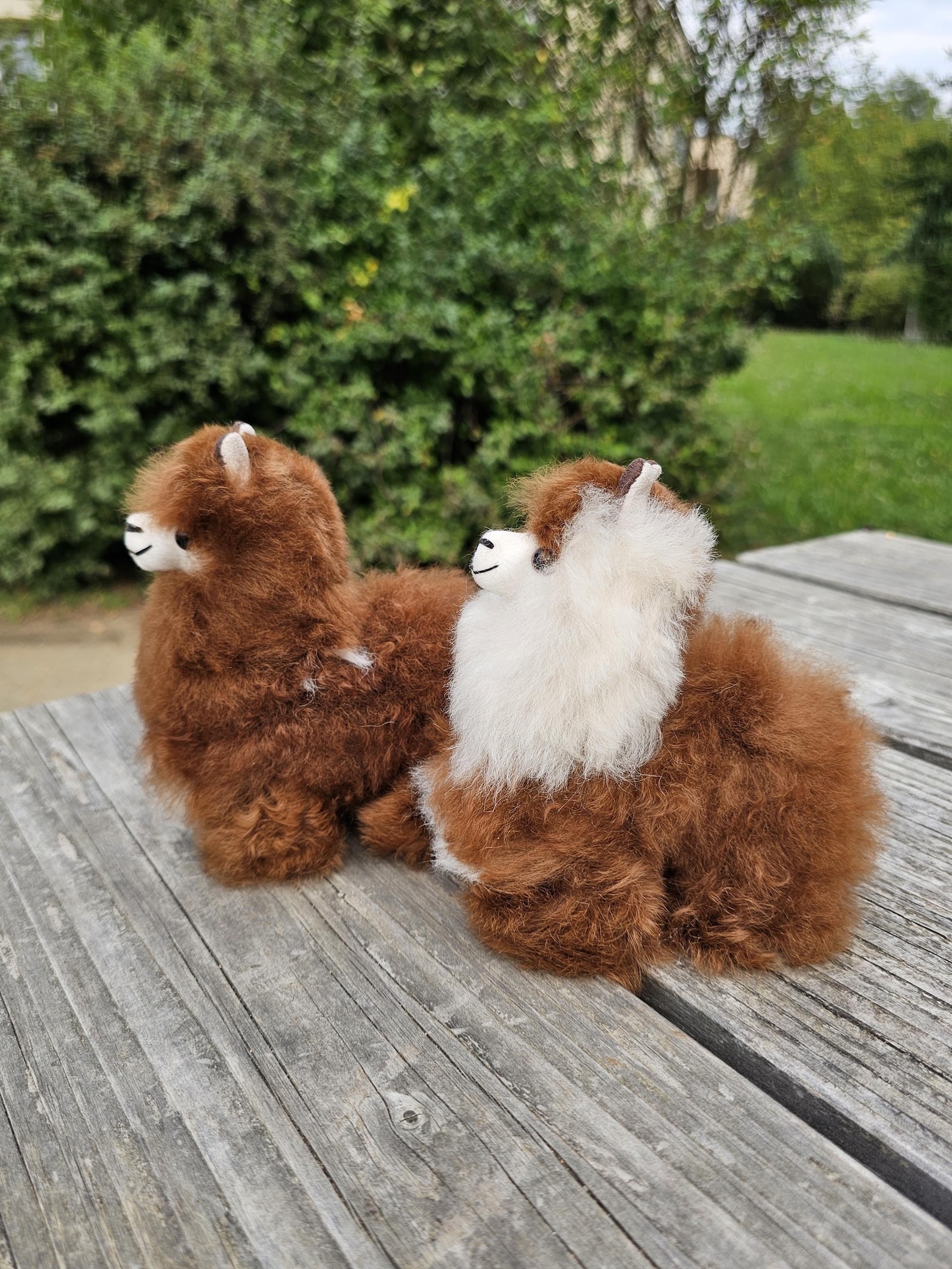 Alpaca Plush Toys 14cm-5,5