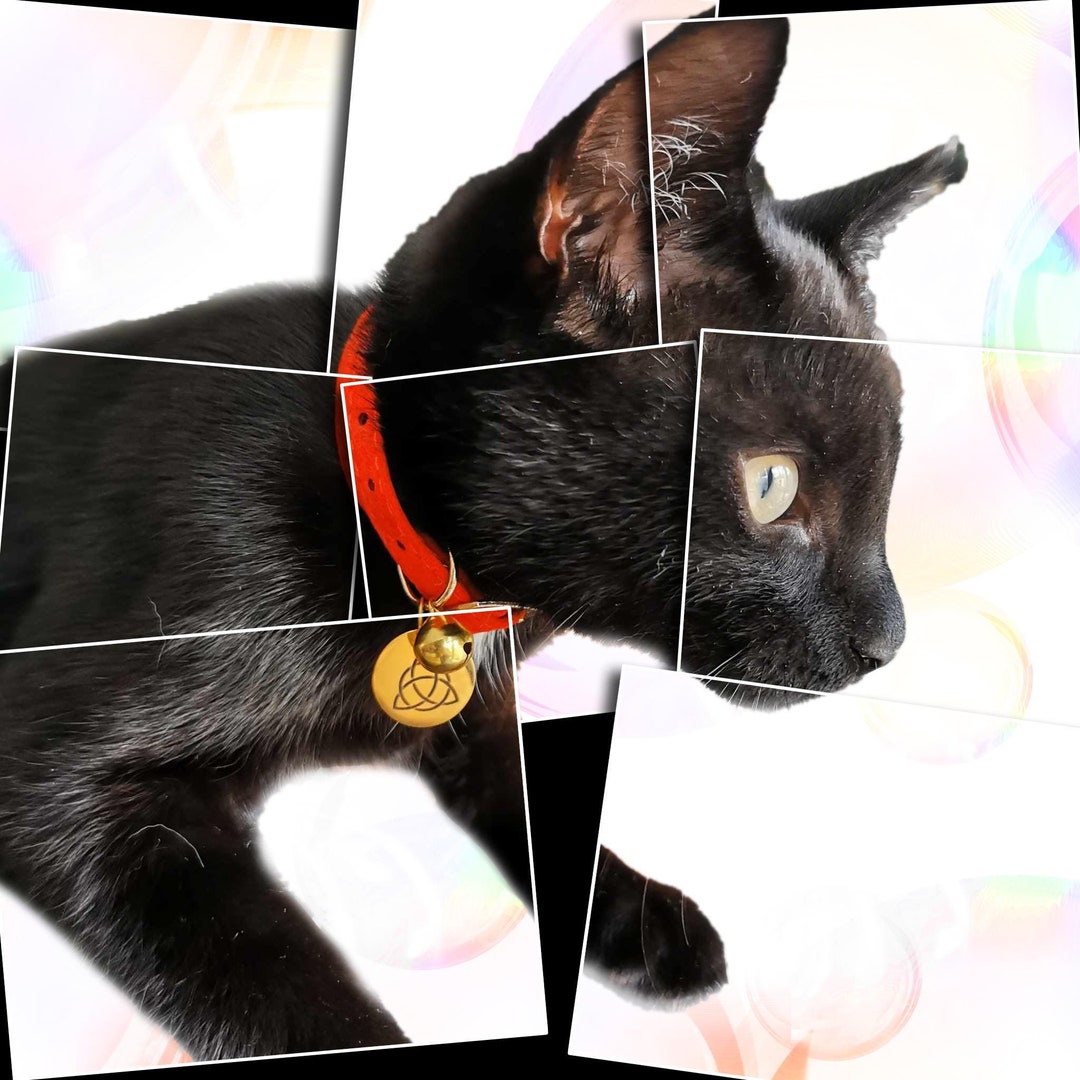Non Offical / Charmed Ones Kit Collar / Original Charmed Tv Serie / Cat ...