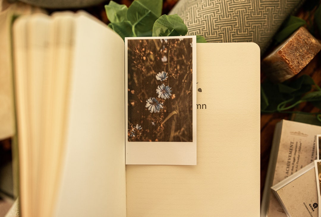 Polaroid Style Wildflower Bookmark, Laminated - Etsy