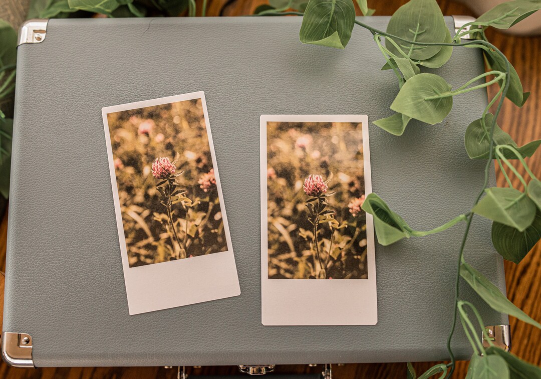 Polaroid Style Laminated Bookmark, Pink Wildflower - Etsy