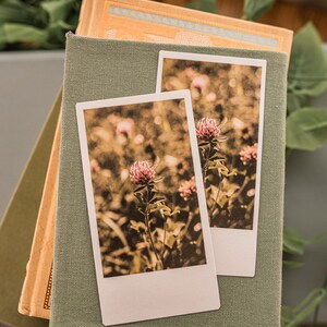 Polaroid Style Laminated Bookmark, Pink Wildflower - Etsy