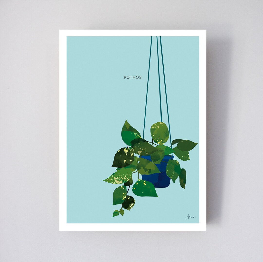 Pothos Poster - Etsy