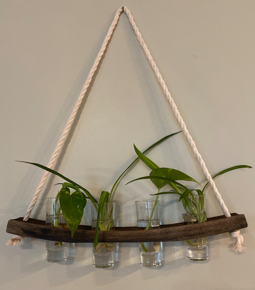 Hanging Plant Propagation Station - Etsy