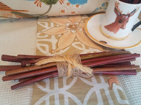 Organic Critter wood chew stick Red Dogwood sticks Chinchilla | Etsy