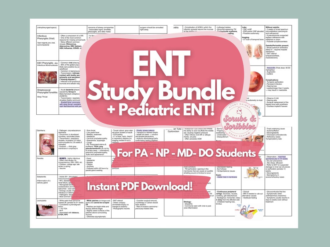 ENT Study Guide | PA School Study Guide Highlighted | Ears Nose Throat ...