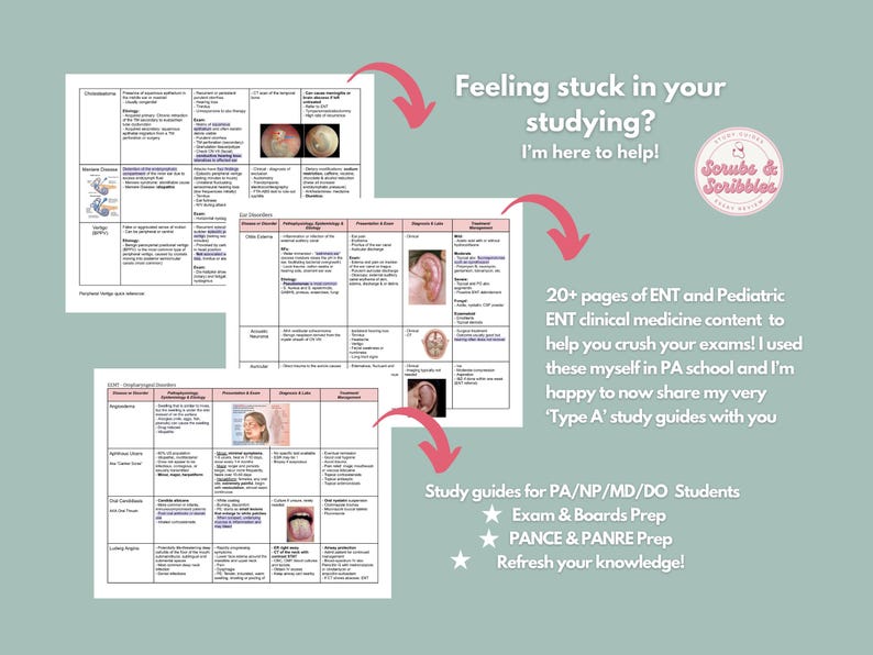 ENT Study Guide | PA School Study Guide Highlighted | Ears Nose Throat ...